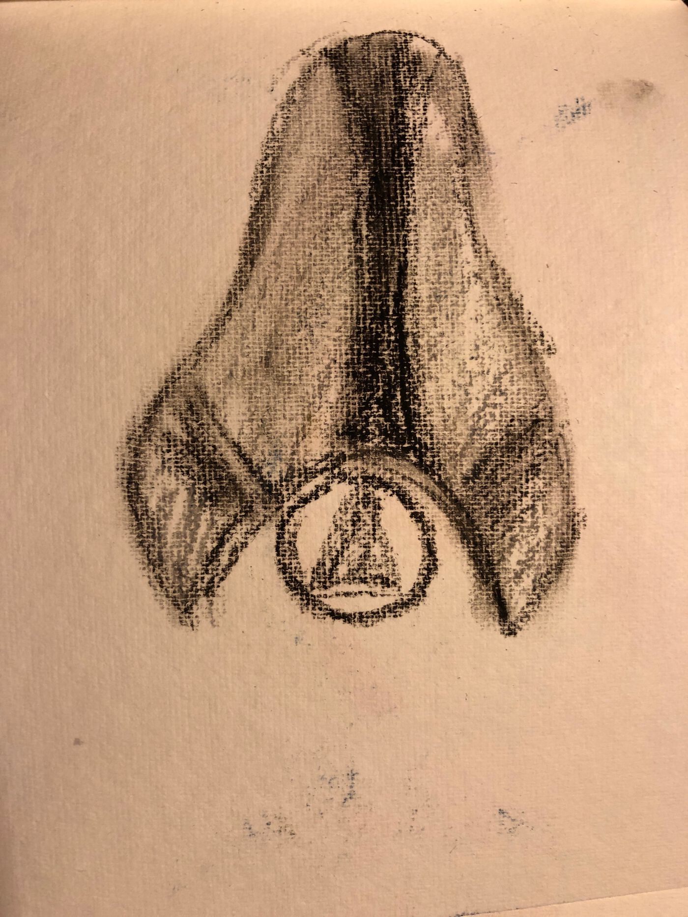 2018 in Art | The Spine of the Empire